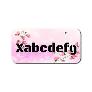 Carpe Diem Designs Customized Bicycle Size License Plate | Bike 3X6 | 5 Sizes | Personalized for Bicycle, Wagon, Wheelchair, Kids Toys | Made in The USA .032 Thick Aluminum