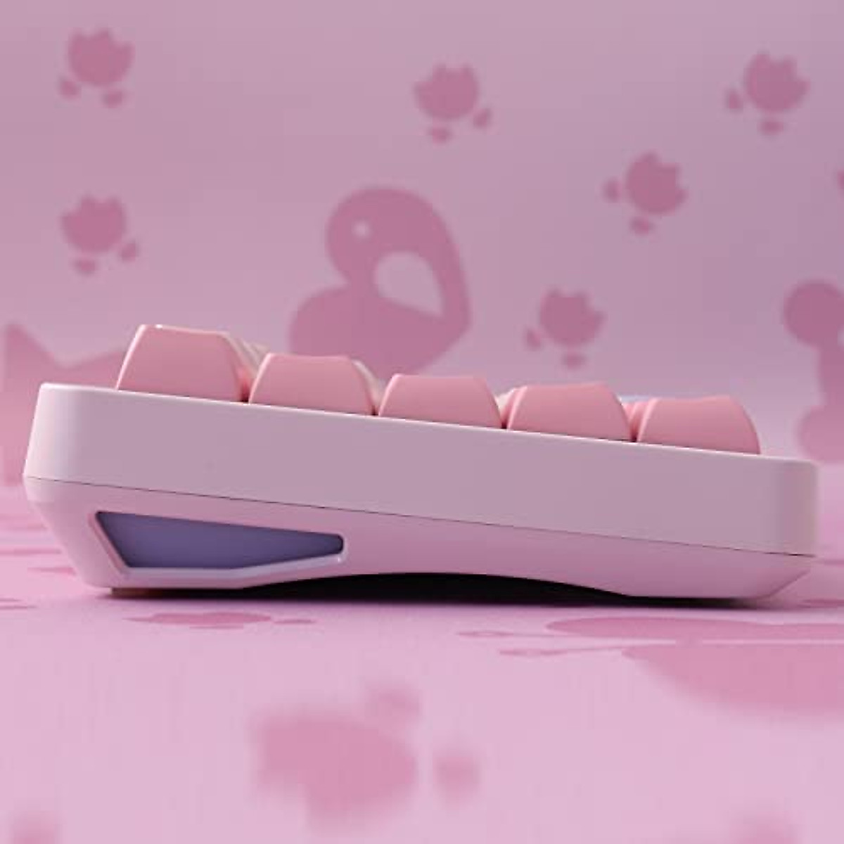 JOMKIZ Keycaps,143 Keys KCA Profile Garden Party Theme Custom Keycaps Set for Cherry MX Gateron Kailh Switches Mechanical Gaming Keyboard