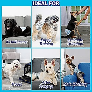 Disposable Male Dog Wraps with FlashDry Gel Technology, S 40 count