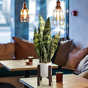 GreenBoxx Artificial Snake Plant Pot, 27" Portable Faux Potted Air-Purifying Indoor Plant | Home Décor Window Wedding Décor Arrangement Garden Ceramic Pot & Stand Included (White Pot, Green-Black)