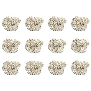 12PK Raw Volcanic Tuff, Igneous Rock Specimens - Approx. 1" - Geologist Selected & Hand Processed - Great for Science Classrooms - Class Pack - Eisco Labs