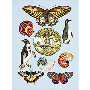 The Antiquarian Sticker Book: Over 1,000 Exquisite Victorian Stickers (The Antiquarian Sticker Book Series)