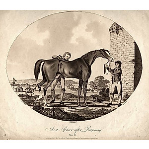 As a Racer after Running