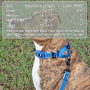 Leashboss Reflective Martingale Collar and 6 Ft Leash with Padded Handle, Medium Collar 14.5-17" Neck, Blue