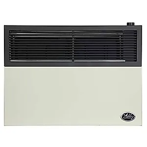 Ashley Hearth Products DVAG17N 17,000 BTU Direct Vent Natural Gas Heater, Cream