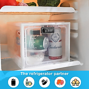 SANIDIKA Large Lockbox Medicine Lock Box - Refrigerator Lockable Boxes for Food Storage - Childproof First AID Locking Cabinet Pill Case Medical Organizer Bin - Ipad Tablet Locker Cell Phone Jail