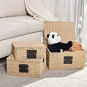 OUTBROS Storage Box Hand-Woven Wicker Storage Baskets with Lid, Multipurpose Stackable Storage Bin, Shelf Nesting Baskets, Desktop Makeup Organizer Container with Built-In Carry Handles, Natural