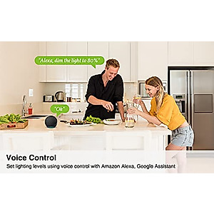 Beantech SW2 Smart Wall Single Pole Dimmer Switch, 1 Pack, White