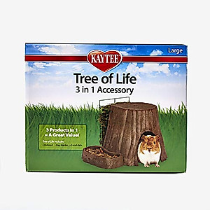 Kaytee Tree Of Life 3-In-1 Habitat Accessory Hideout/Hay Feeder/Food Dish for Guinea Pigs, Chinchillas, and Dwarf Rabbits, Large