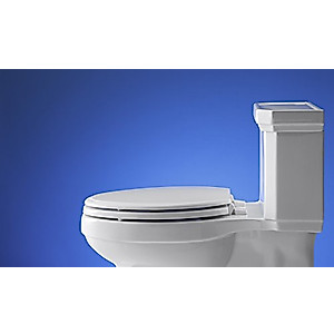 KOHLER K-4694-0 Ridgewood Molded-Wood with Color-Matched Plastic Hinges Elongated Toilet Seat, White