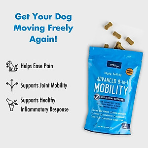 iHeartDogs Bone Broth and Advanced 8-in-1 Joint Supplement for Dogs Bundle