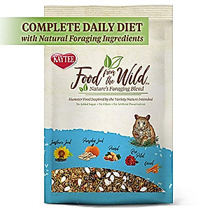 Kaytee Food from The Wild Natural Pet Hamster Food, 2 Pound