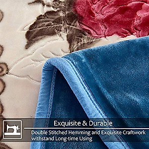 JYK Heavy Korean Faux Mink Fleece Blanket, 5 LB - 2 Ply Reversible 520GSM Silky Soft Plush Warm Blanket for Autumn Winter (Queen, Flower/Light Blue)