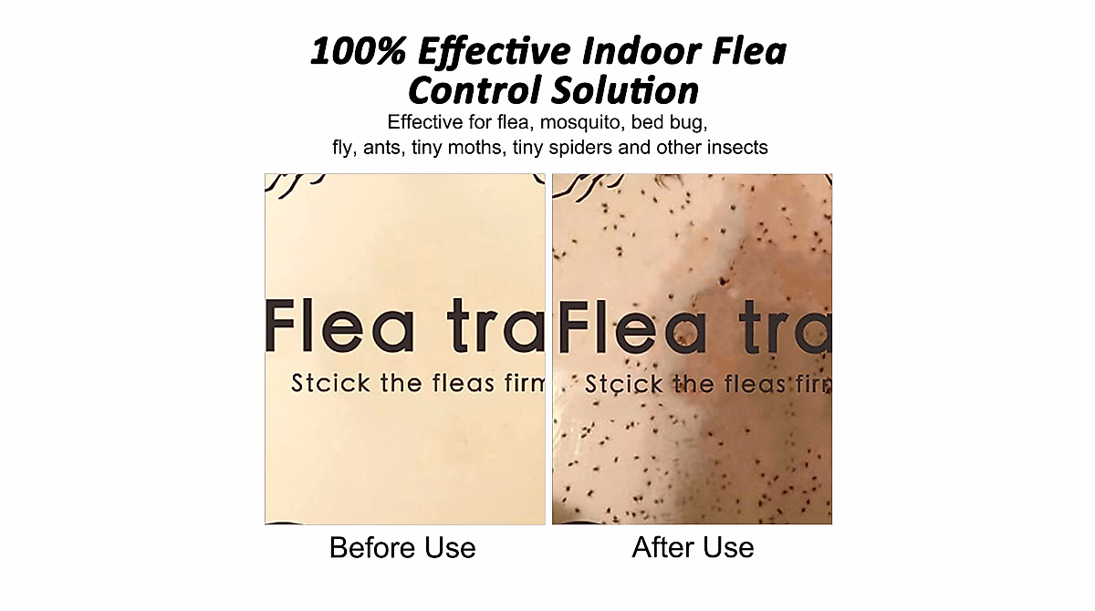 2 Pack Flea & Bed Bug Traps for Home - Safe Indoor Control