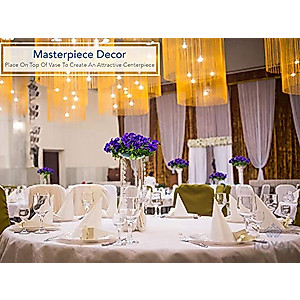 Royal Imports 6" Clear Plastic Saucer Plant Drip Tray, Low Pie Plate, Floral Flower Dish, Wedding, Party, Home and Holiday Decor, 6 Pack