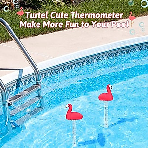 Floating Pool Thermometer, Large Display with String Easy to Read, Shatter Resistant, for Outdoor & Indoor Swimming Pools, Spas, Hot Tubs & Aquariums (Flamingo)