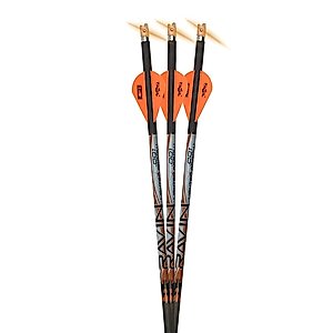 Ravin R134 Match Weight Lighted .001-Carbon Crossbow Arrows For Use Exclusively With Ravin Crossbows