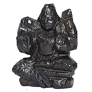 Rudrakshguru Goddess Lakshmi Idol Carved on Natural Sudarshan Shaligram