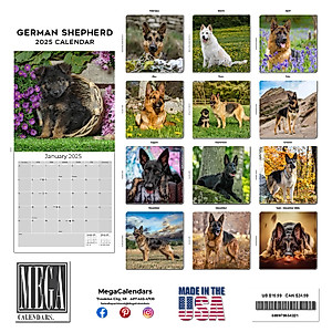 2024 2025 German Shepherd Calendar - Dog Breed Monthly Wall Calendar - 12 x 24 Open - Thick No-Bleed Paper - Giftable - Academic Teacher's Planner Calendar Organizing & Planning - Made in USA