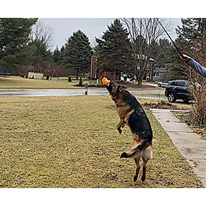 Jalousie Collapsible Dog Flirt Pole with Three Squeaky Toys Plush Toys Dog Teaser Wand Chase it Dog Toy with Refills (Dog Flirt Pole w/ Three Toys) - Upgraded Rope