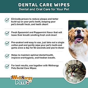 Wellnergy Pets Dental Care Combo for Dogs & Cats - Dental Water Additive 16 fl oz & Dental Wipes 100 Pads - Improves Oral Hygiene, No Brush Formula