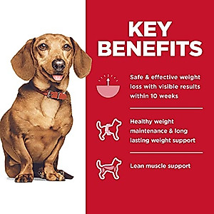 Hill's Science Diet Perfect Weight, Adult 1-6, Small & Mini Breeds Weight Management Support, Dry Dog Food, Chicken Recipe, 12.5 lb Bag