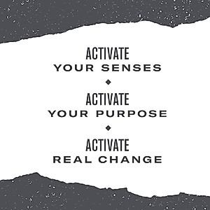 Numi Organic Tea Chocolate Puerh, 16 Count Box of Tea Bags (Pack of 3)Â