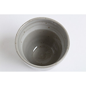 Mino ware Japanese Pottery Yunomi Chawan Tea Cup Running Rabbits Gray Sanaegama made in Japan (Japan Import) KSY007