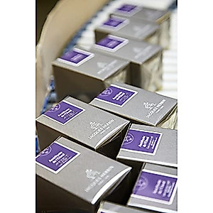 J. Herbin 1798 Anniversary Inks - Silver Sheen 50 ml Bottled - Amethyste de L'Oural (Rich Deep Purple Ink)