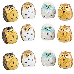 Toyvian 12pcs Mini Owl Figurines Miniature Garden Figurines Owl Garden Decoy Animal Dollhouse Ornament for Micro Landscape Bonsai Decor