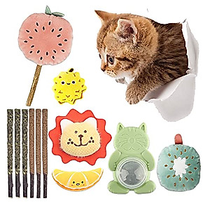 olloiig 12pcs Interactive Cat Toys Set, Squeaky Crinkle Catnip Cat Toy Pack, SliverVine Catnip Sticks and Catnip Wall Balls for Dental Health, Plush Chew Toy for Kitten Cat Gift…