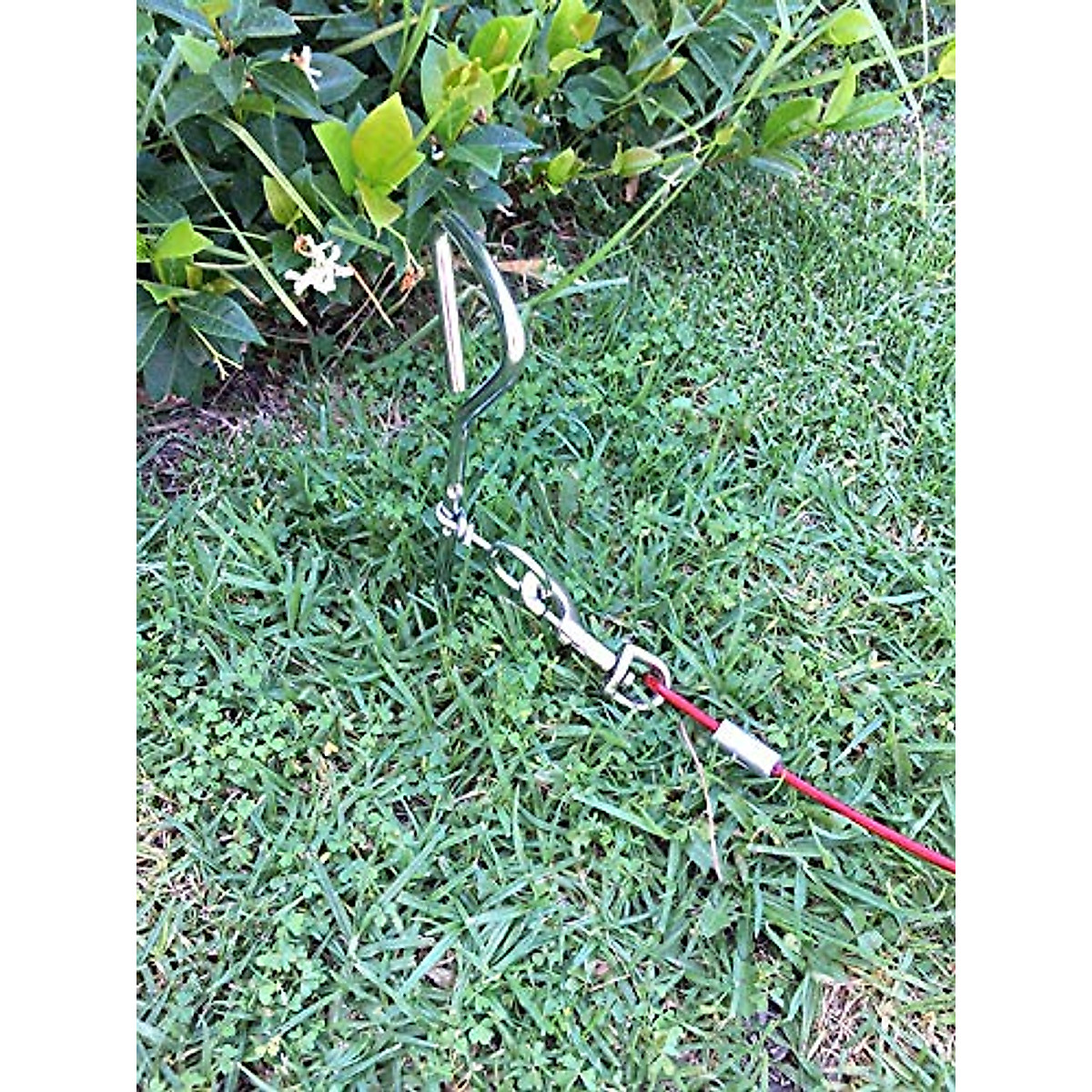 20ft Dog Tie Out Cable for Dogs, 16" Chrome Plated Anti Rust Stake, Great for Camping or The Garden, Suitable for Harness, Leash & Chain Attachments