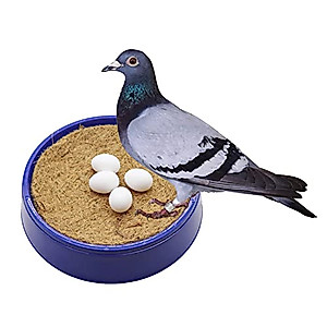Maxmoral 12pcs Fake Eggs Plastic False Pigeon Eggs for Hatch Breeding Supplies Solid Pigeon Fake Egg Pigeon Hatching Supplies