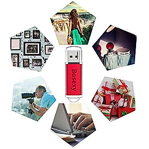 Bosexy USB Memory Sticks USB 2.0 Flash Drives Pen Drive 10 Pack (64MB, Red)