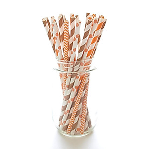 Thanksgiving Disposable Paper Drinking Straws in Orange & Brown (25 Pack) - Autumn Fall Harvest Themed