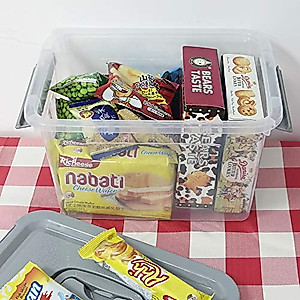 Ggbin 6 Quart Clear Latch Storage Box with Grey Handle and Latches - 4 Pack