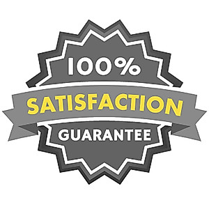 JEWELRITZY 2mm Signet Style Dog Paw Print Engraved Ring Solid 925 Sterling Silve Size 10