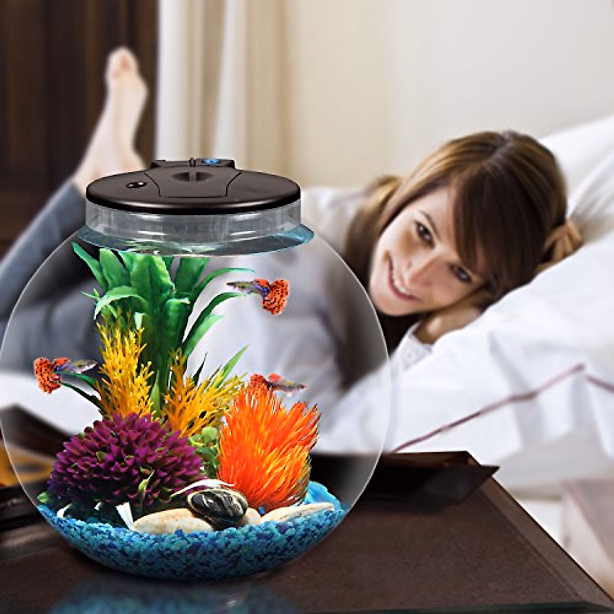 Koller Products AquaView 3-Gallon Fish Tank with Power Filter and LED Lighting