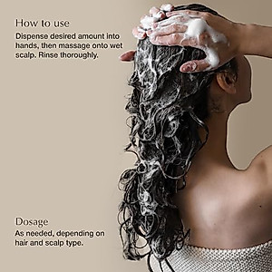 Aesop Shampoo | Enlivening Shampoo For Soft, Shiny, Fragrant Hair | With Frankincense and Panthenol | 16.9 oz