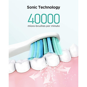 Gloridea Electric Toothbrushes for Adults, Rechargeable Sonic Toothbrushes with 4 Dupont Brush Heads 5 Modes 40,000 VPM Smart Timer Waterproof, 4 Hours Charging Lasts 30 Days, Travel, White