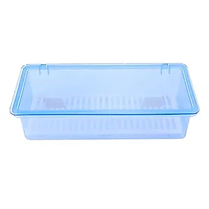 Hemoton Kitchen Utensil Holder Transparent Chopsticks Drain Rack Cutlery Box Spoon Fork Knife Drainer Basket Tableware Silverware Flatware Storage Caddy Organizer Container
