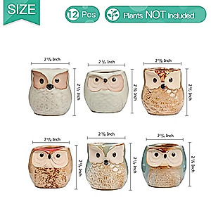 T4U 2.5 Inch Owl Ceramic Succulent Planter Pots with Drainage Hole Set of 12, Flowing Glaze Porcelain Handicraft Plant Holder Container Gift for Mom Sister Aunt Best for Home Office Garden Decoration