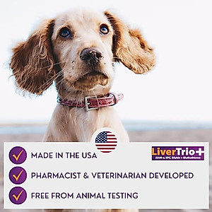 LiverTrio+ Comprehensive Liver Support Supplement for Smaller Dogs. Flavorful Chewable Tablets Combining Same, SPC, Silybin A+B, + Glutathione 30Ct (Small - Medium)