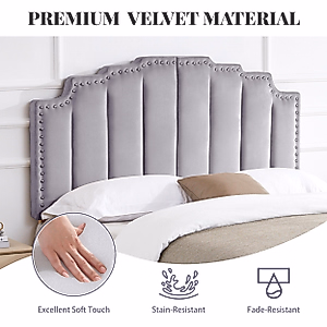 Kingfun Mid Century Headboard for Queen Size Bed, Velvet Upholstered Tufted Bed Headboard with Nailhead Decor, Adjustable Curved Solid Wood Head Board Vertical Channel Design (Medium Grey)