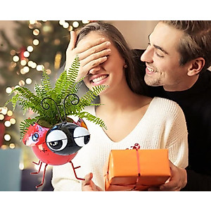 GIFTME 5 Succulent Planter,Metal Pot for Plants,Indoor or Outdoor Decorations Planter with Drainage(7.5Inch,1piece Ladybug Planter)