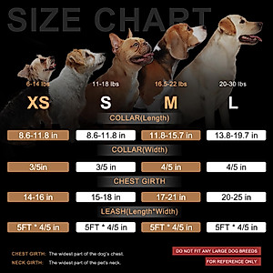 BEAUTYZOO Dog Harness Small Sized, Step in No Pull Dog Harness Collar and Leash Set, Easy Walking Reflective Vest for Small Dogs, Adjustable Soft Mesh Padded Puppy Harnesses Pet Accessories, Blue S