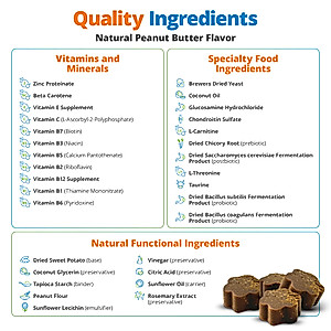5Strands Dog Multivitamin Chews, 10-in-1, Vitamins & Postbiotics, All Ages & Breeds - Digestion, Brain, Organs, Heart, Mobility, Vision, Skin & Coat, Immunity - Dog Supplement (Peanut Butter, 90ct)