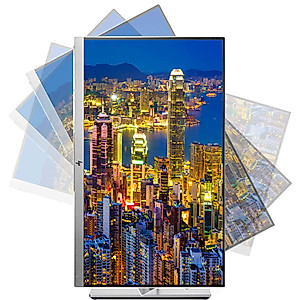 HP EliteDisplay E233 23 Inch IPS LED Backlit Monitor 2-Pack, FHD 1920 x 1080 (1FH46A8#ABA)