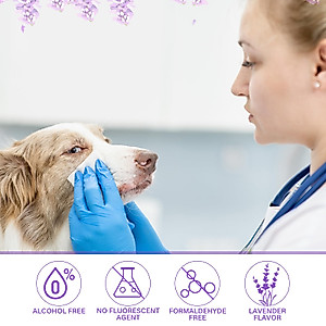 Treela 10 Packs of 800 Dog Wipes Pet Wipes Cat Grooming Supplies for Paws, Butt, Ear, Skin, Eye, Body Cleaning Bath Stain Odor Remover, Home or Travel Use(Lavender)
