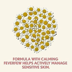 Aveeno Ultra-Calming Nourishing & Moisturizing Face & Neck Night Cream for Dry, Sensitive Skin with Calming Feverfew & Nourishing Oat, Non-Comedogenic, Oil-Free & Hypoallergenic, 1.7 oz (Pack of 3)